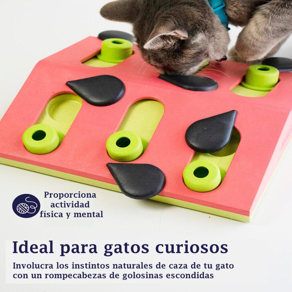 Puzzle Play Melon Madness-Cat - Mascopedia